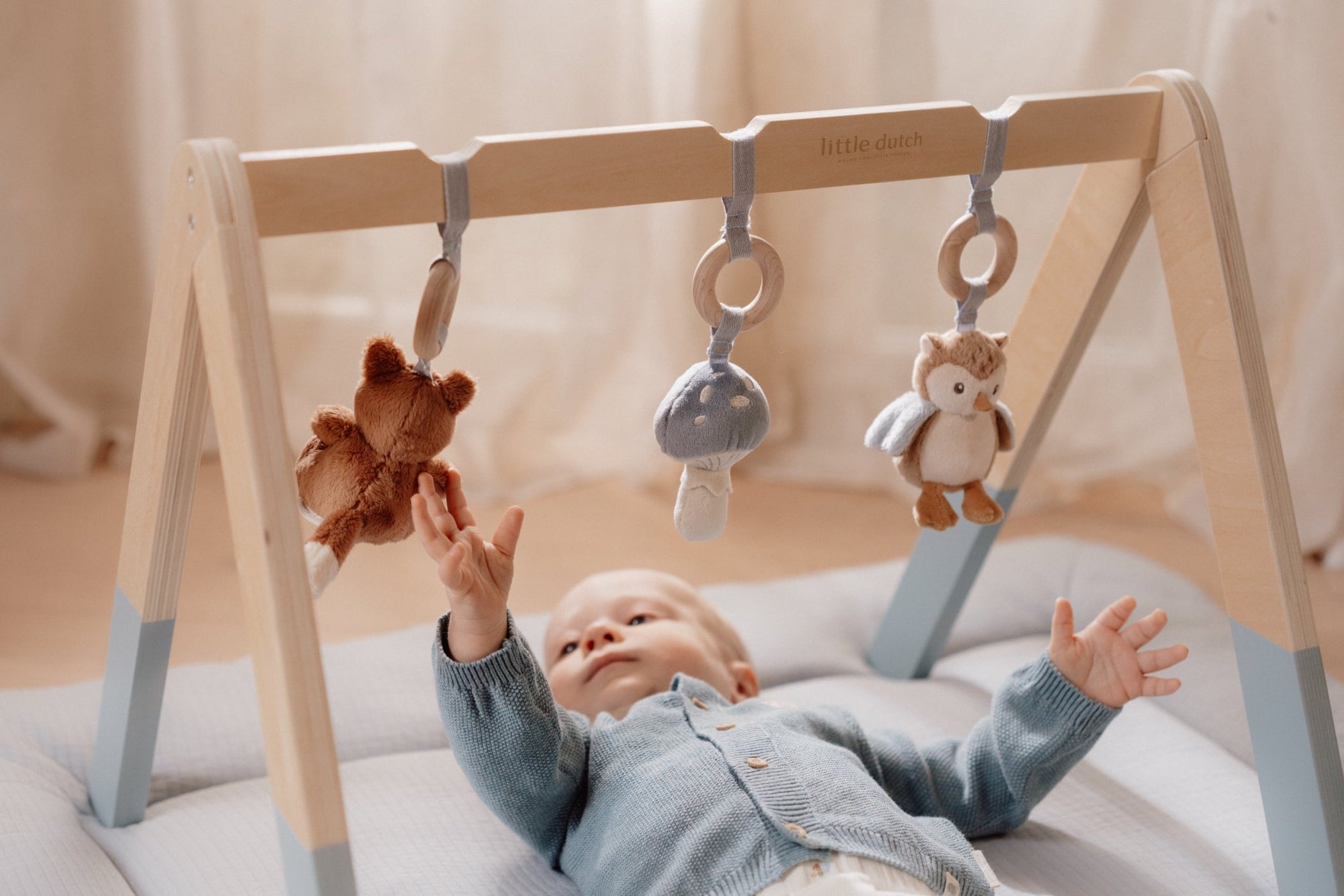 Forest Friends thuis | Little Dutch B2C