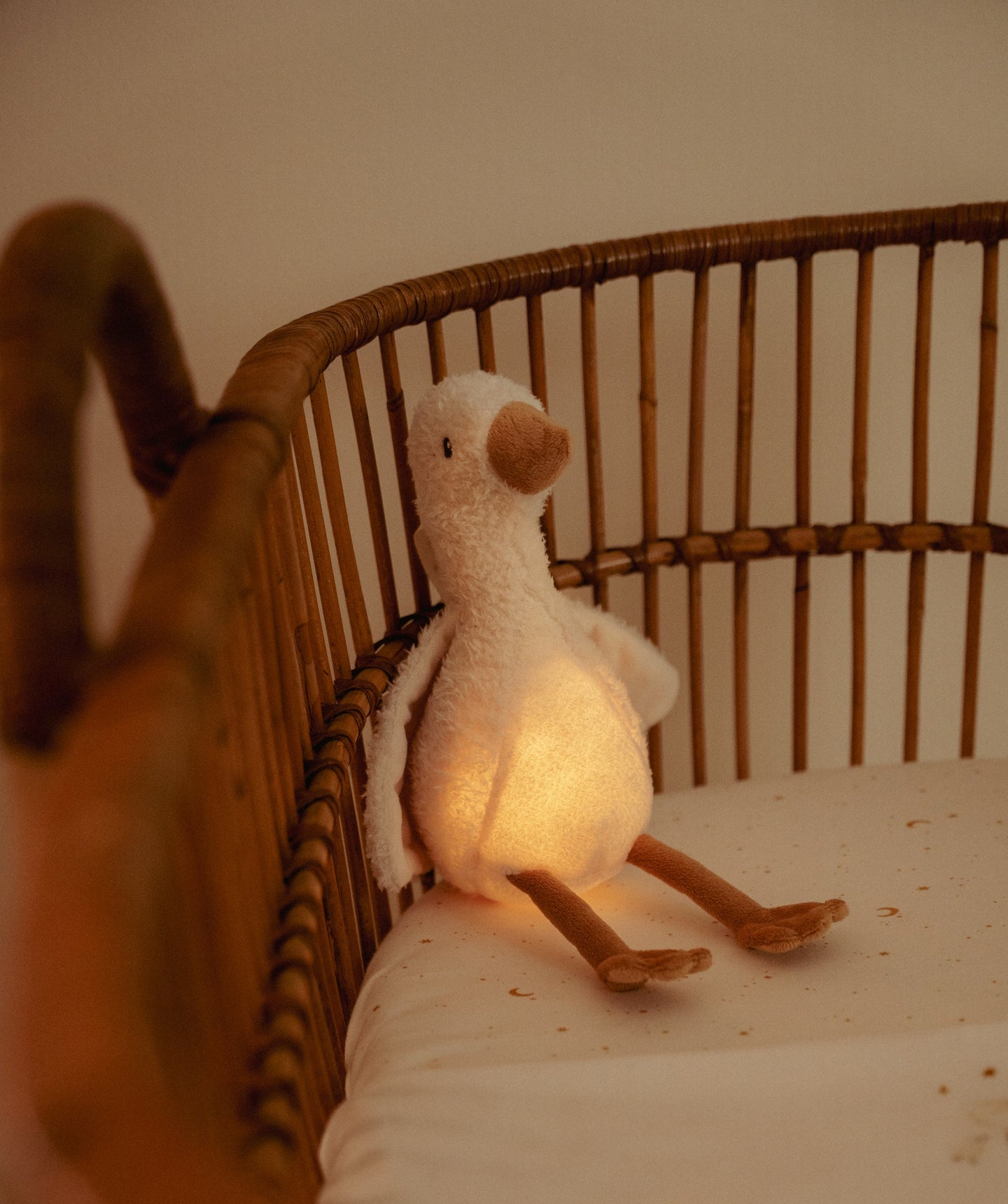 Nijntje | Little Dutch B2C